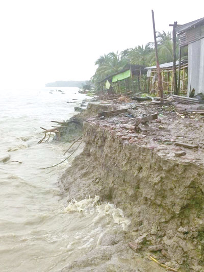 Meghna erosion threatens mangrove forest at Char Fasson
