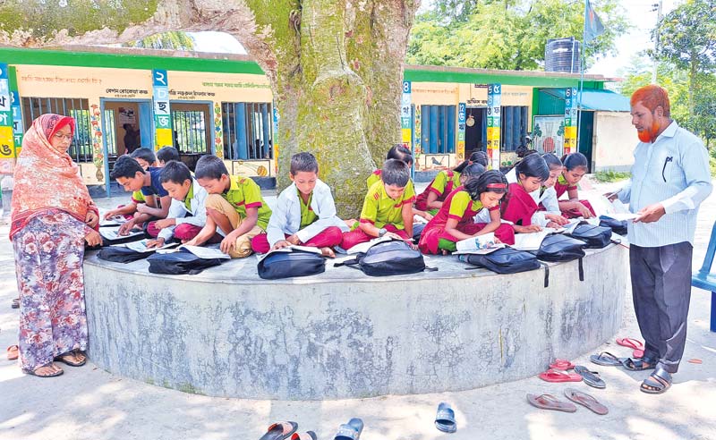 Classroom crisis forces students to take lessons under tree