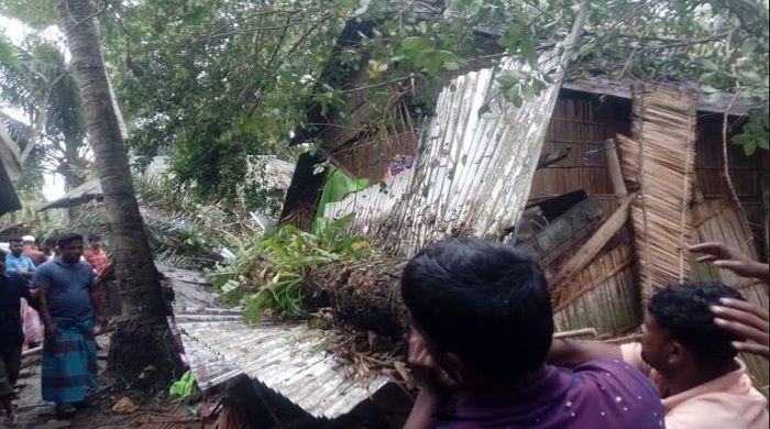2 women die under trees during storm in Gopalganj