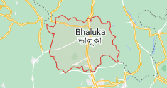 Elderly woman killed in Bhaluka road crash