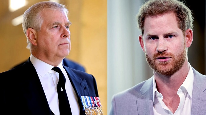 UK princes Harry and Andrew lose king stand-in role