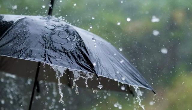 Rain likely in all 8 divisions