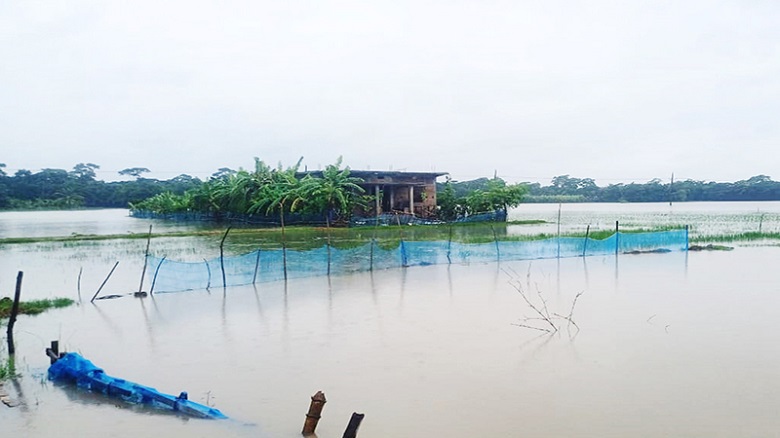 40 villages flooded, over 300 fish farms submerged in Bagerhat