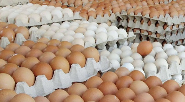 Govt permits import of 40.5m eggs