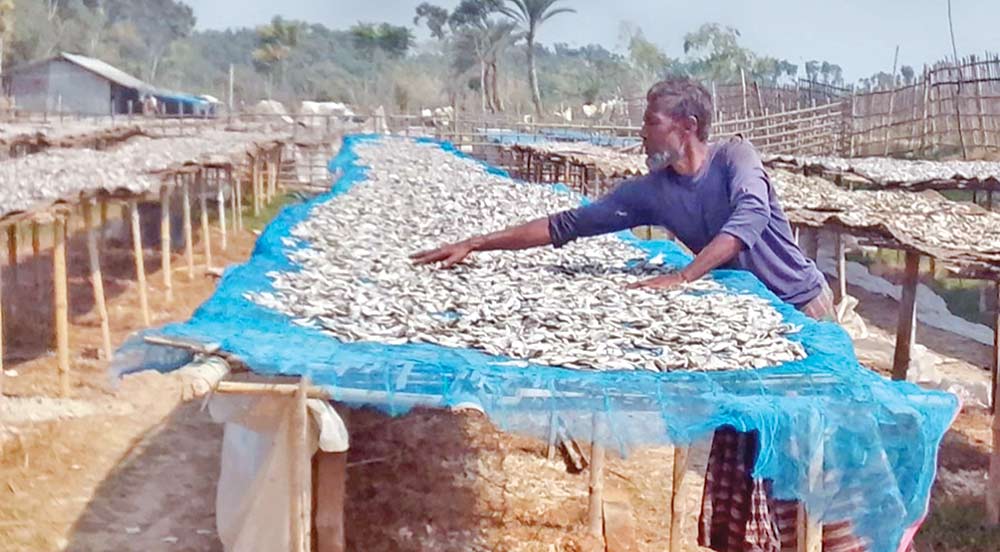 Satkhira potential for freshwater dried fish