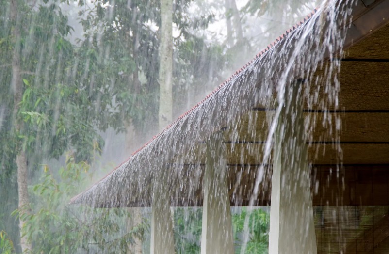 Rain likely in many parts of country, says Met Office