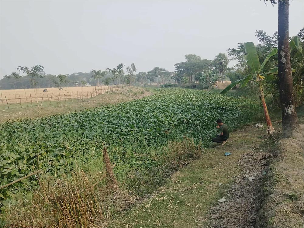 Waterways on verge of extinction at Amtali